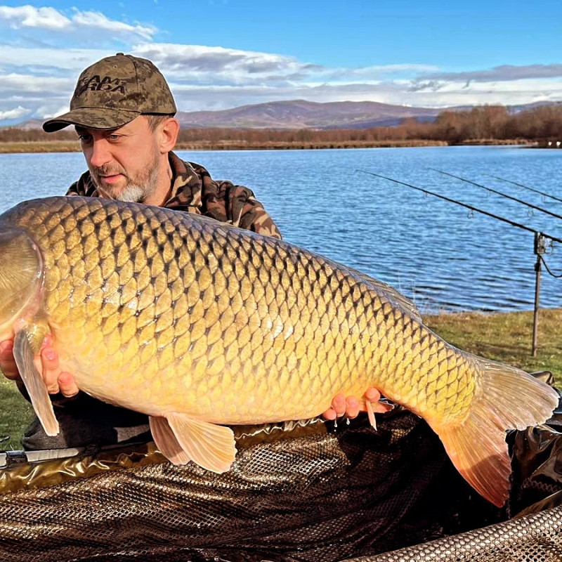 🦀 LIQUID MONSTER CRAB